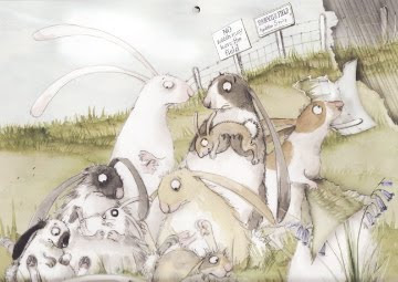 Best Loved Illustrators: Emily Gravett