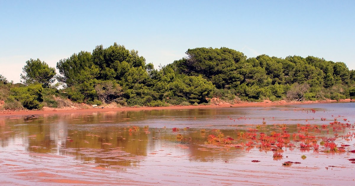 imatges de menorca: CALA ROTJA (FORNELLS)
