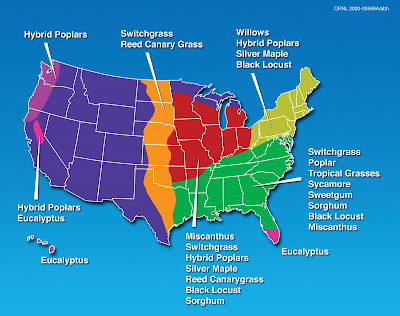 Interesting energy facts: Biomass energy facts