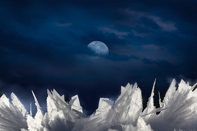 digital photo: Inspiring and Really Beautiful Examples of Ice and ...