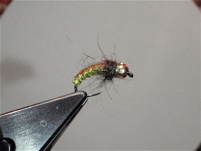 The Jersey Angler: Polish Woven Nymph
