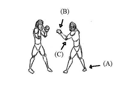The Squared Circle: Learn to Box: The Jab pt 1