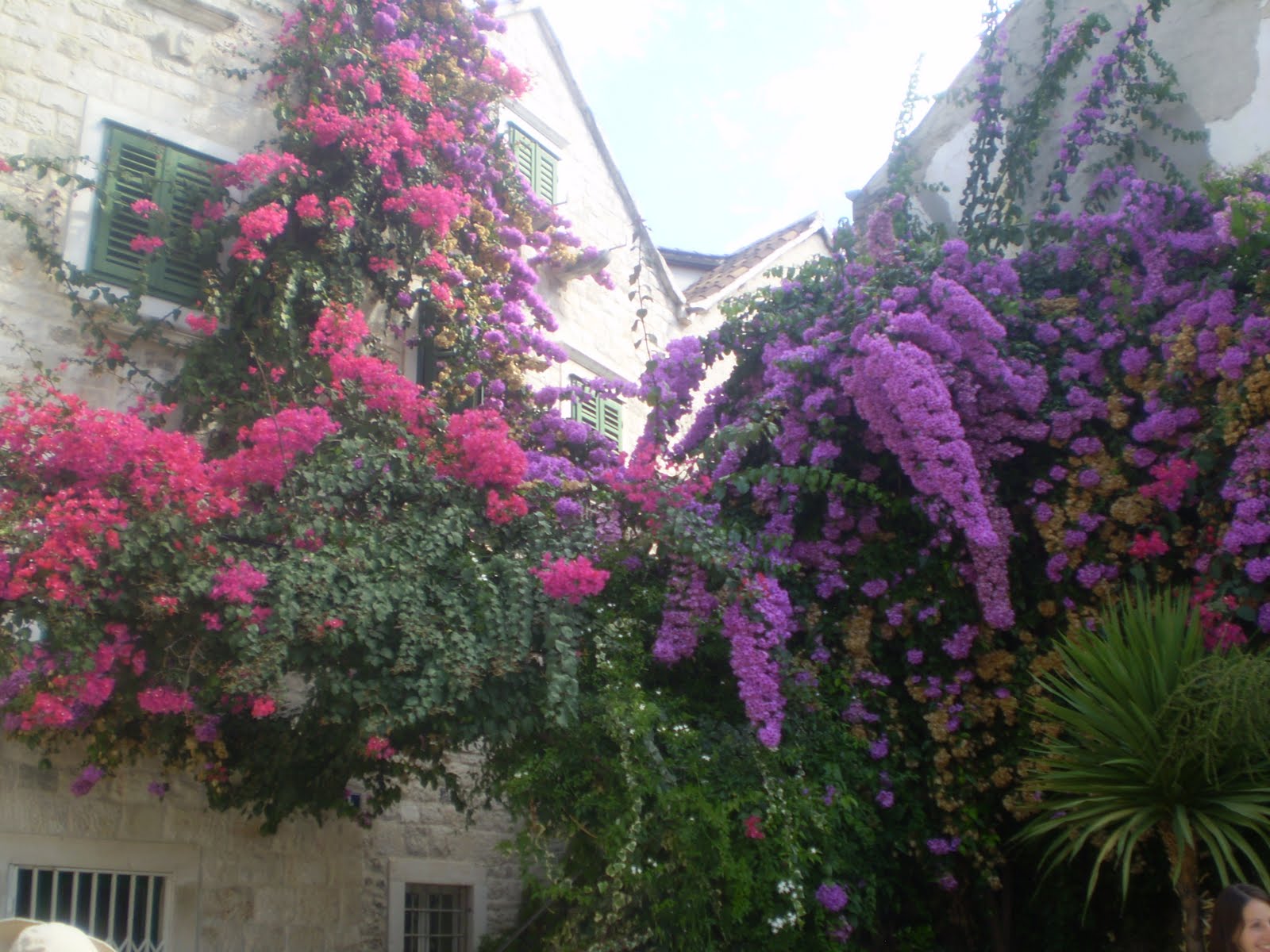 More Photos of Croatia | Her Mentor Center