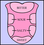 Wine from the Vine: Evaluation of Taste and Finish