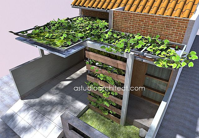 Desain pergola dari besi hollow dengan tanaman rambat / Pergola design ...