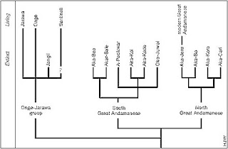 SONIKKK steatopygia badonkadonk different races different asses ...