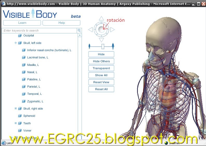 the Visible Body - web 3D de Anatomia Humana ( gratis ) | EGRC25