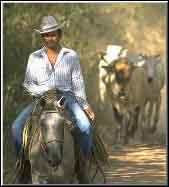 luzmi: Tradiciones Llaneras