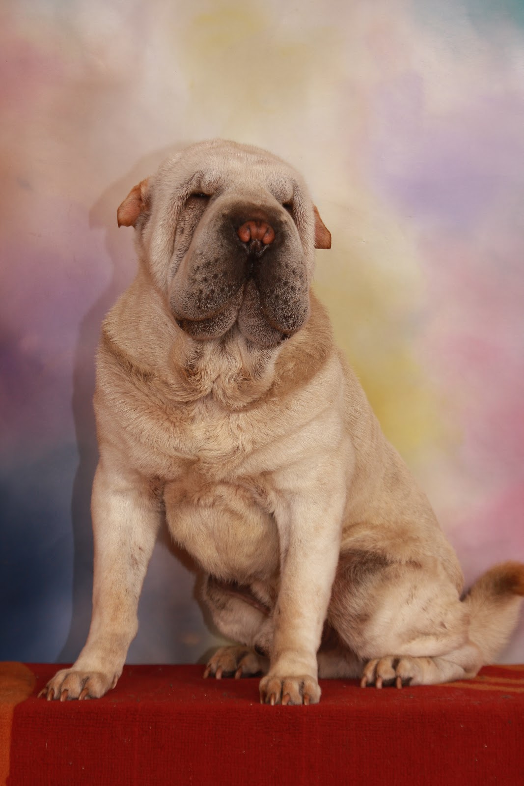 SHARPEI HMR PEIS