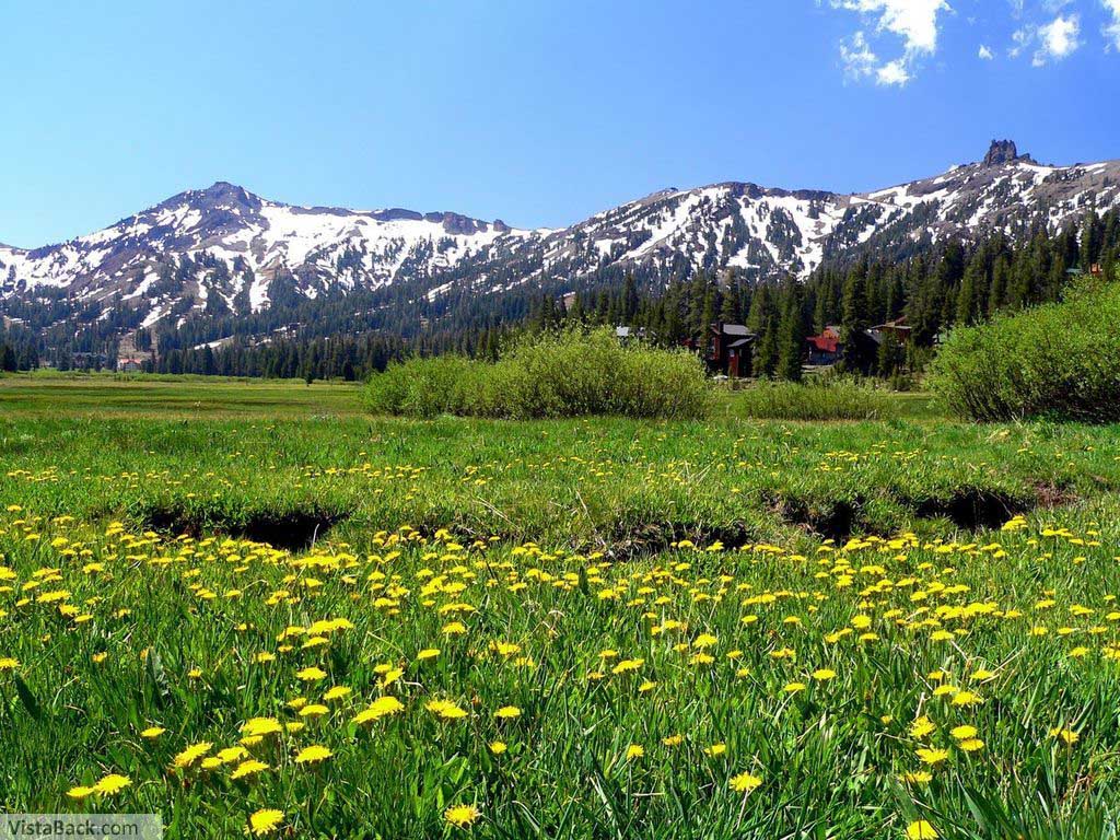 Desktop Wellpaper: Natulal