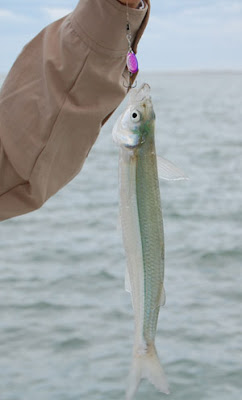 Pesca y Algo Mas...