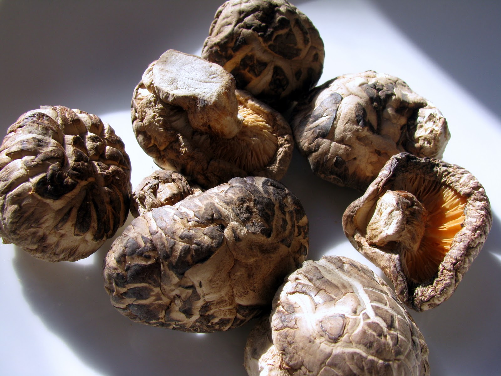 Savory Sweet Living: Fried Brown Sticky Rice Balls with Duck Sausage
