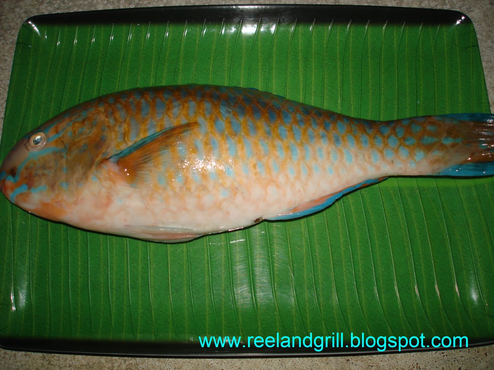 Reel and Grill: Fish Shanghai (Fish Spring Roll)