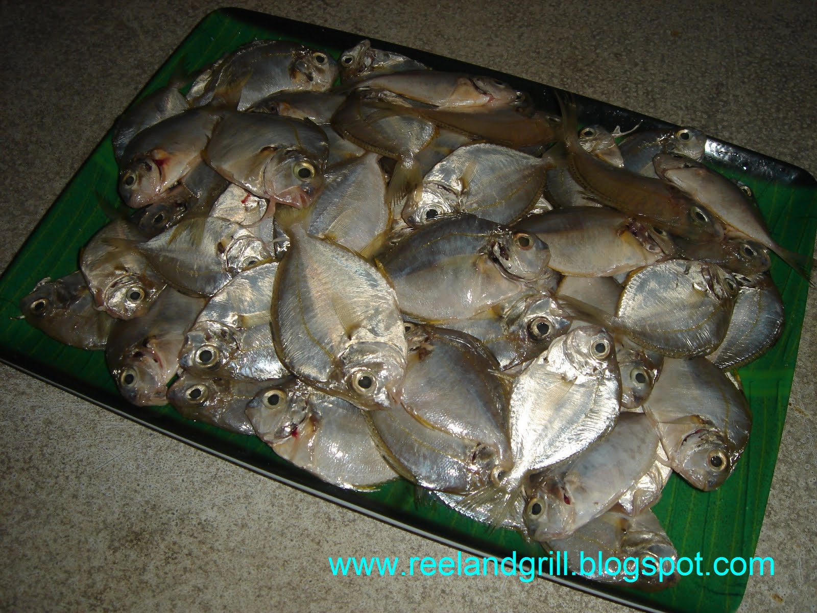Reel and Grill: Pangat na Sapsap sa Kamatis (Ponyfish Poached in Lemon ...