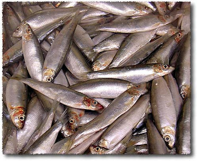 TimeToEatMon: Jamaica Fry Sprat