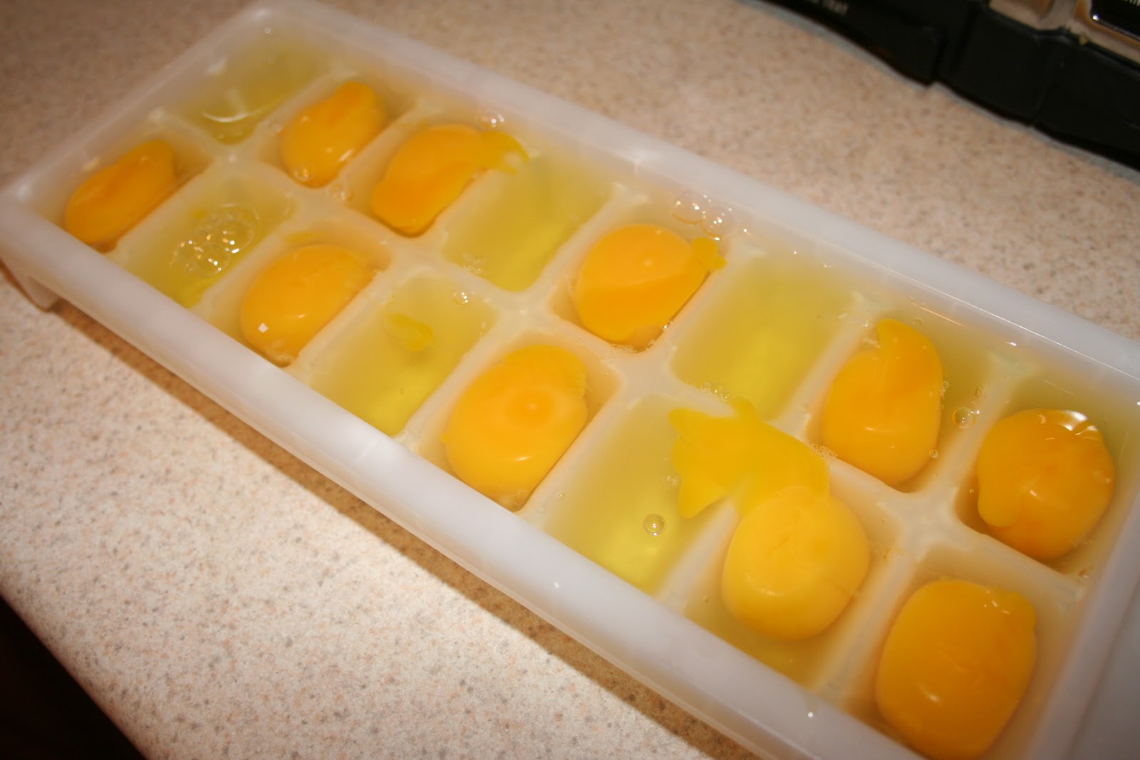 Eggs Long Term Storage Momzoo