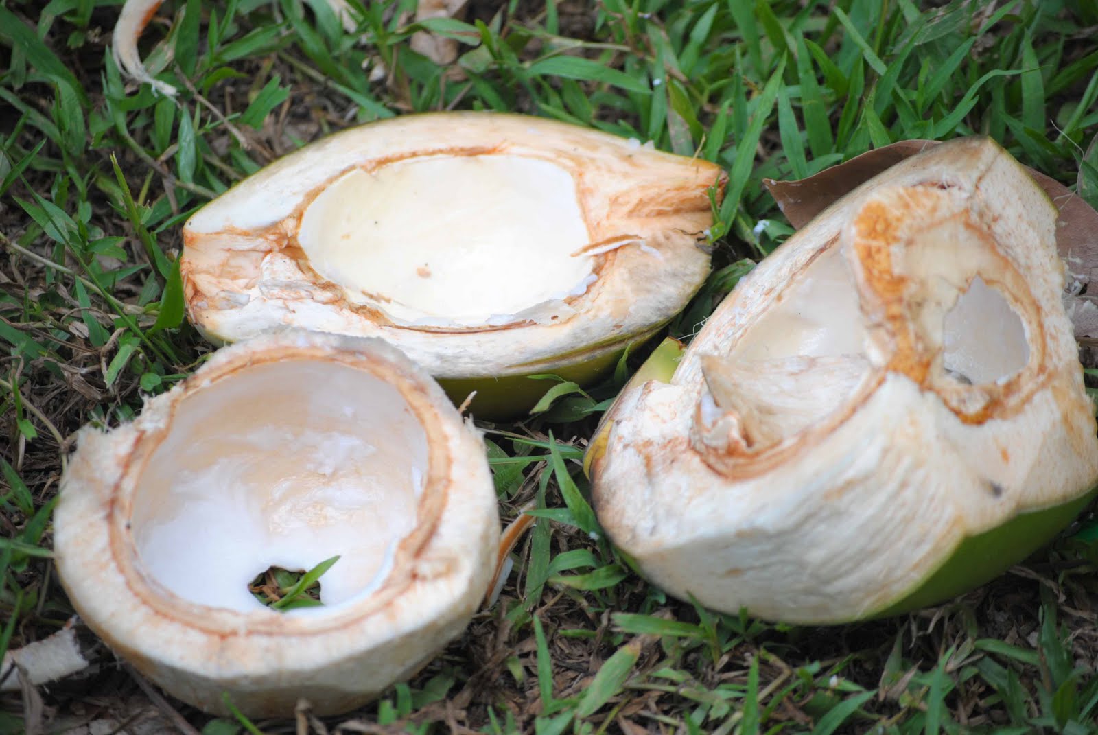 Bread + Butter: Philippine Foodventure pt. 6 - Nagcarlan Pt. 3