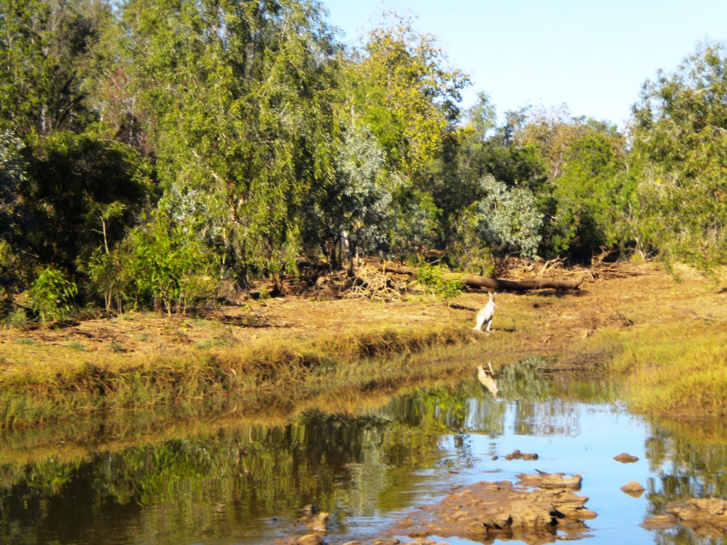 Abenteuer in Australien: Bullo River Station - Erster Lagebericht