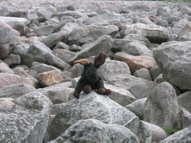 Clyde's Guides and Other Stuff: Boulder Field, Hickory Run State Park ...