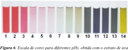 CÁPSULAS DE FLAVONÓIDES & AFINS: Repolho roxo: que delícia de ...