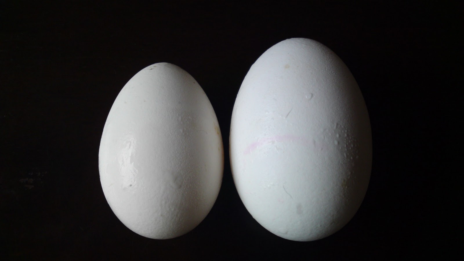 Cooking in Small Spaces: JUMBO ba ang Itlog mo?