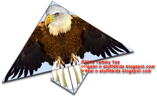 Origami n' Stuff 4 Kids: Bald Eagle Origami