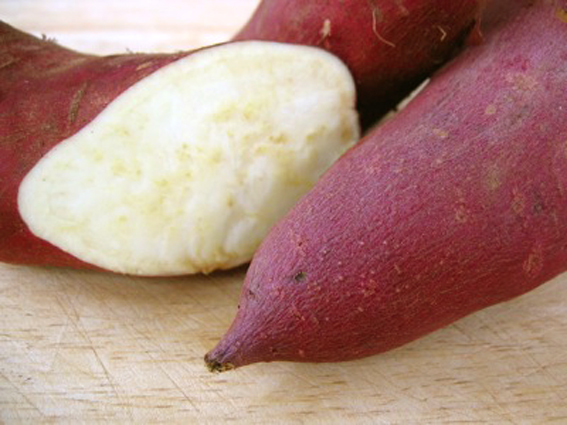 Batata-Doce: O Alimento dos Atletas | Alimentação e Beneficios