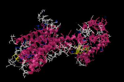 Python Molecular Viewer: Electron Density Map