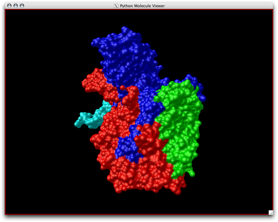 Python Molecular Viewer Distinct Molecular Surfaces Per Chain