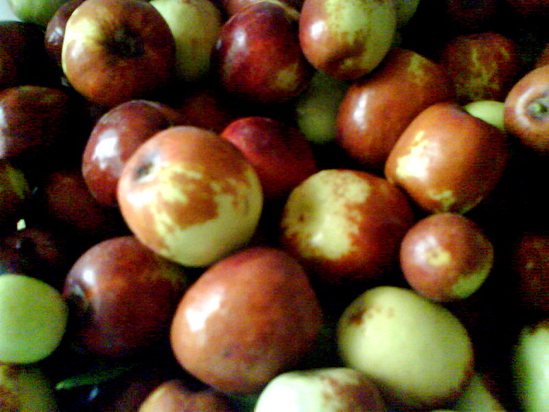 PAPARAJOTA: JÍNJOLES PA LA FERIA....