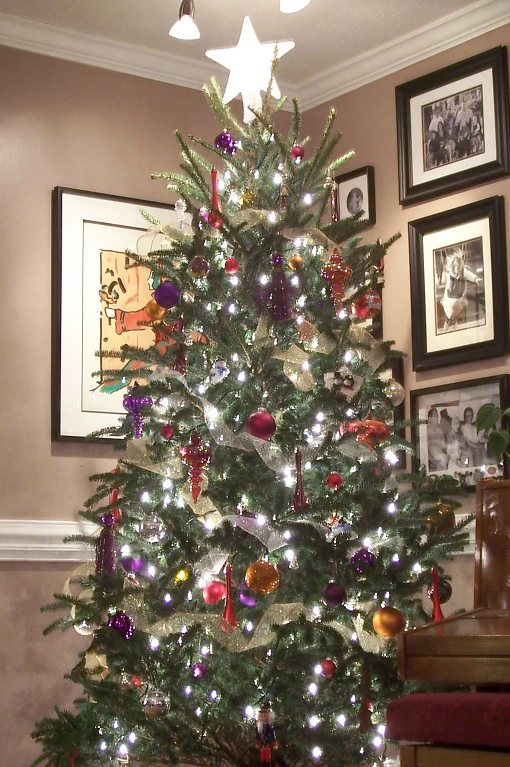 Sunniviews: Christmas Tree I