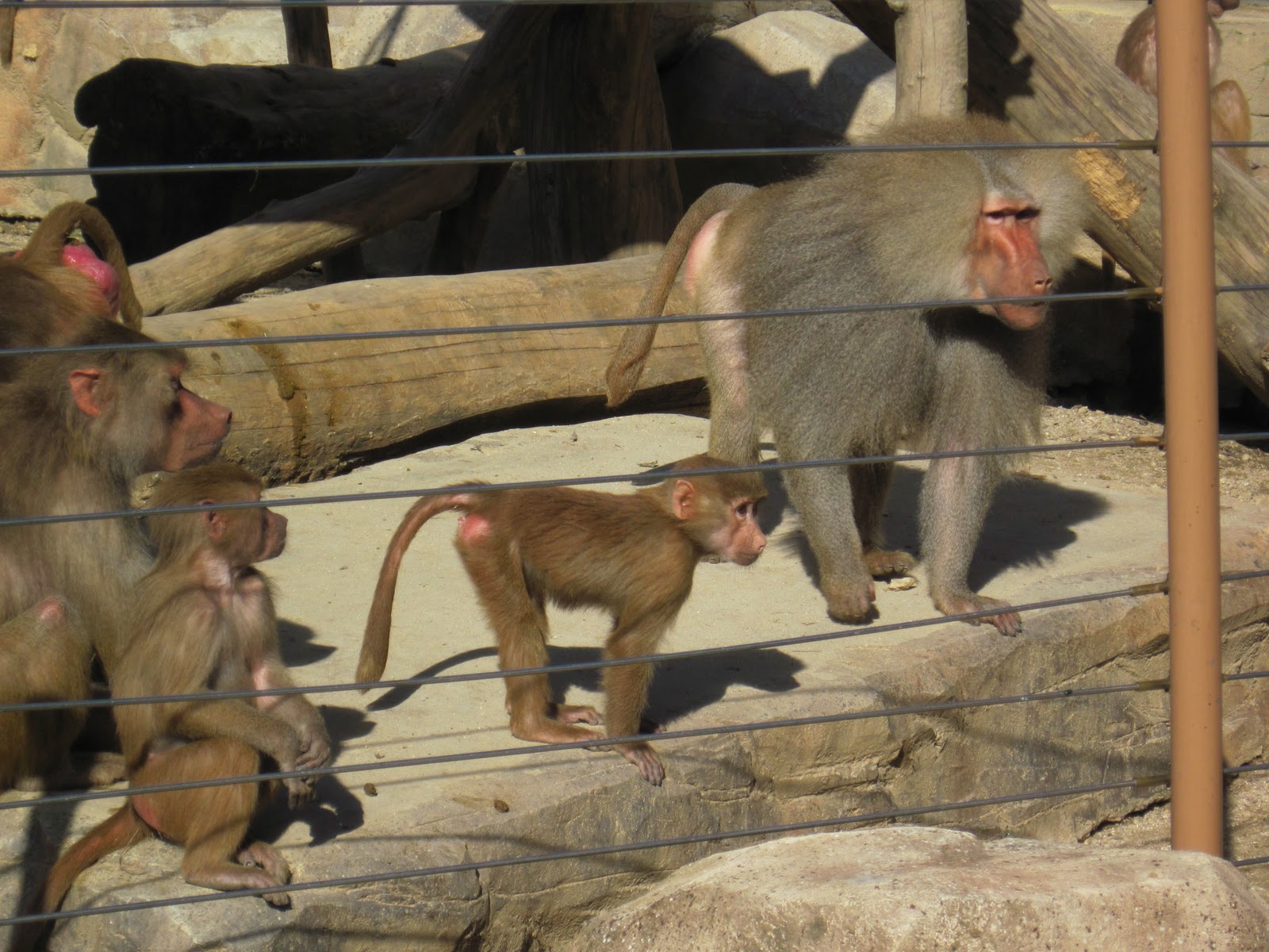 Korean Adventure: September 2010