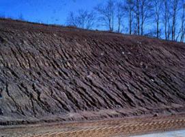 Confessions of a Steel Magnolia: Rocks & Rills