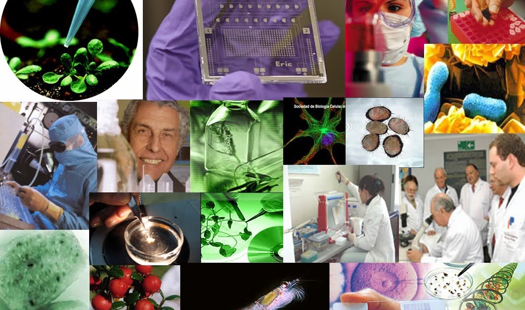 Bioquimica: IMPORTANCIA DE LA BIOQUÍMICA Y SU RELACIÓN CON OTRAS CIENCIAS