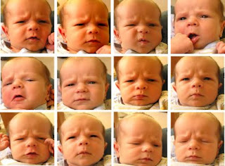 5 People Blog: Significance of Facial Expression