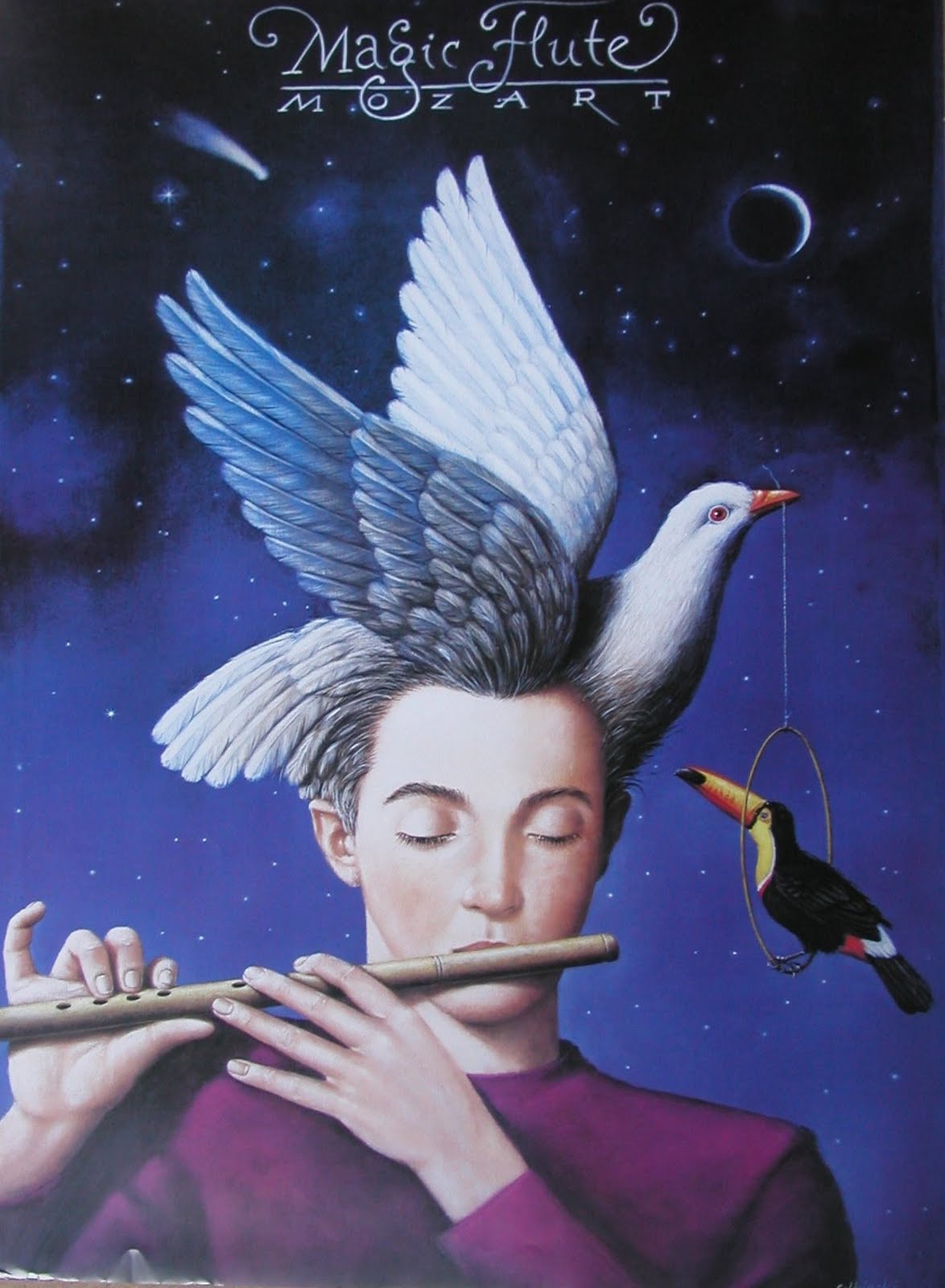 Peaceable Liberal: Magic Flute