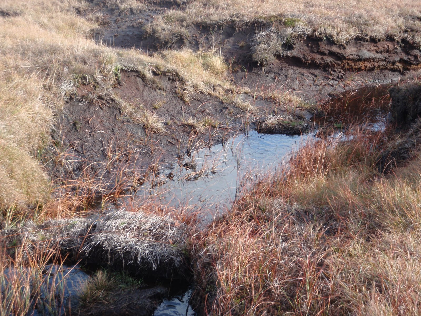 National Trust - Marsden Moor Estate: November 2010