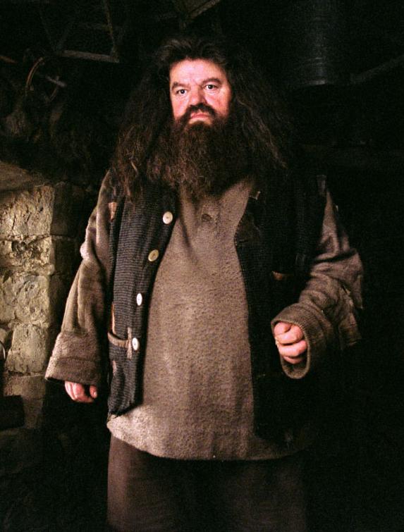Hagrid Images
