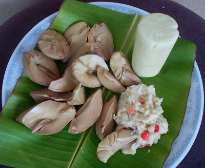 My Sarawak (2nd Ed.): Going wild over illipe nuts