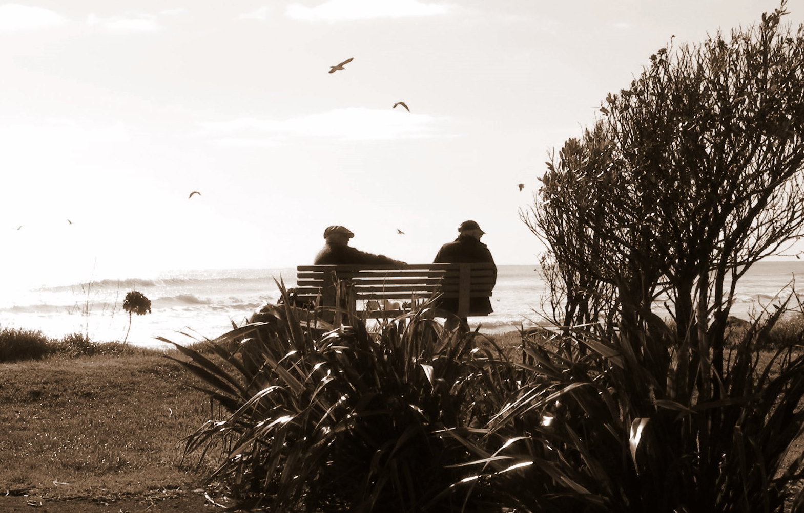 photographing New Zealand: Sepia Scene