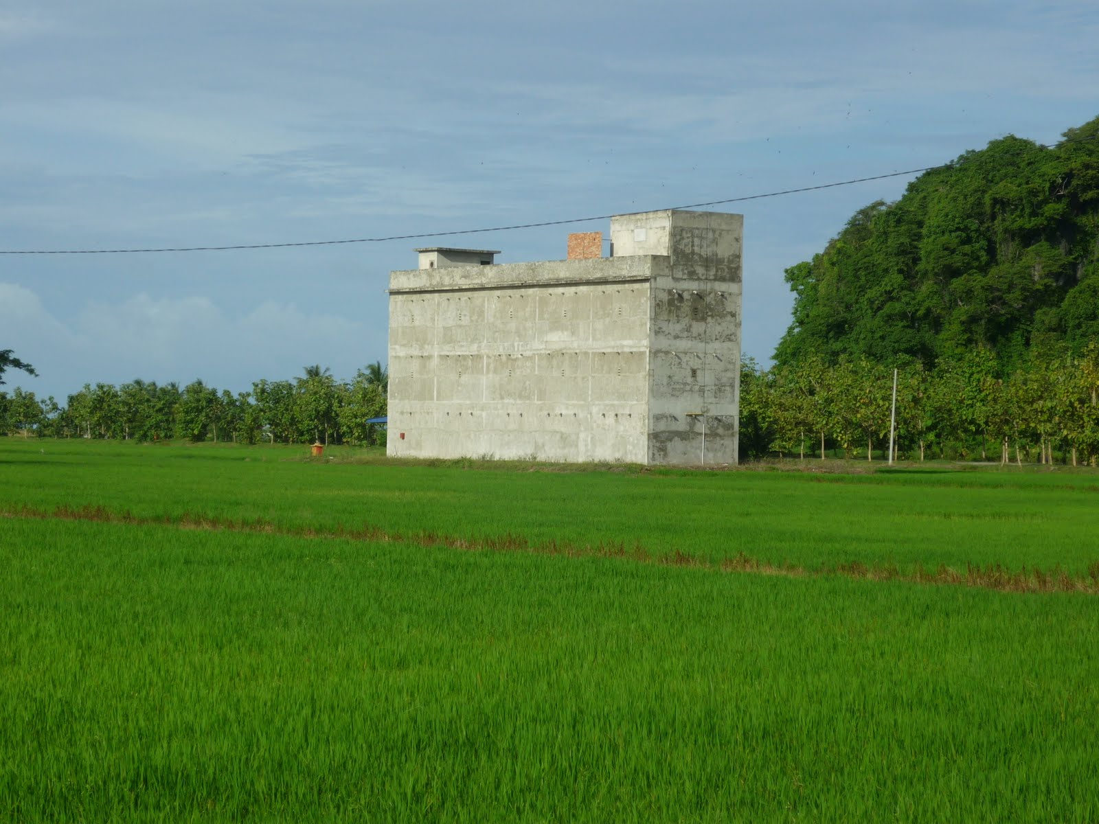 Swiftlet Birdnest Farming: Swiftlet Birdnest Farming