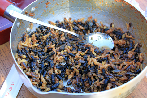 Japanhandlin: I eat suzumebachi for breakfast