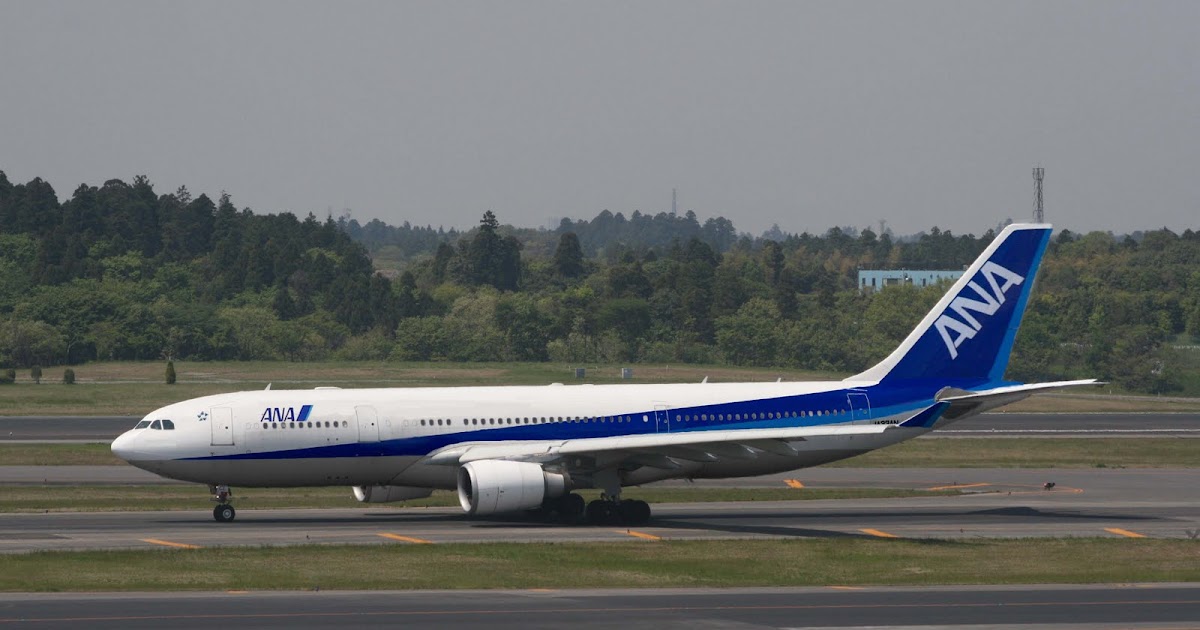 Switch: A330・ANA塗装