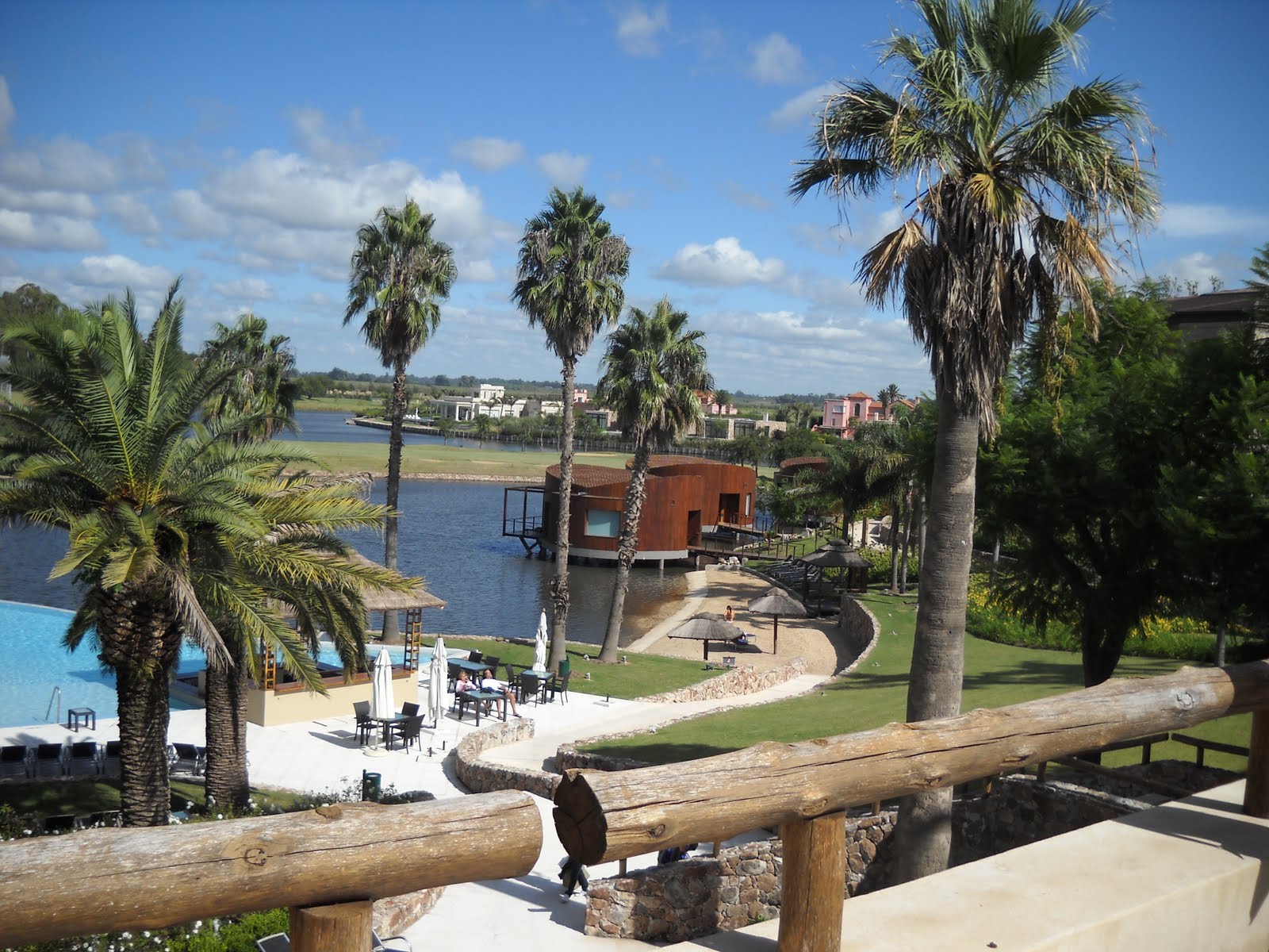 Laura Morselli / Natura/La Matanza. 154/031/9634