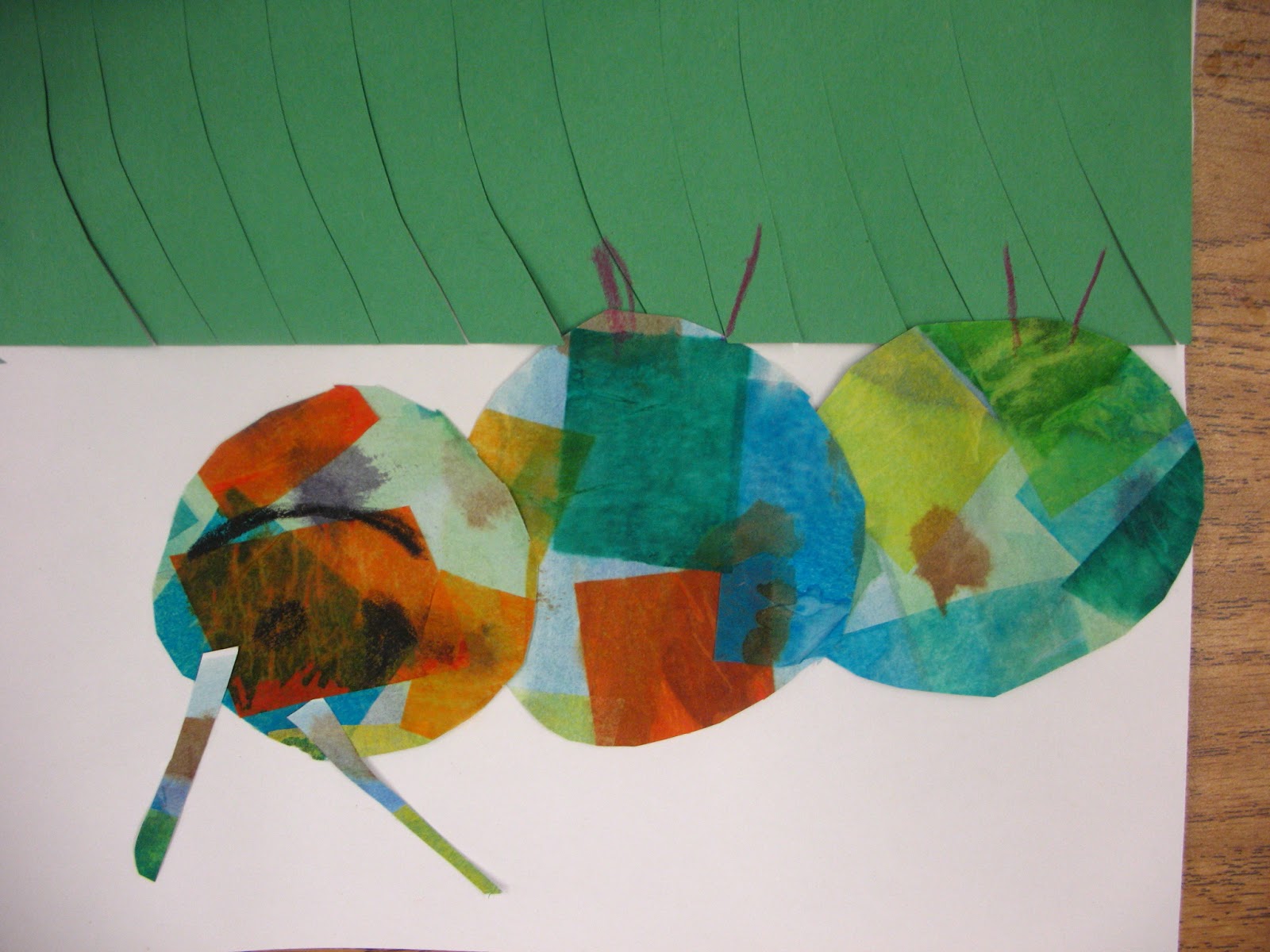Color is My Day: Eric Carle Bugs
