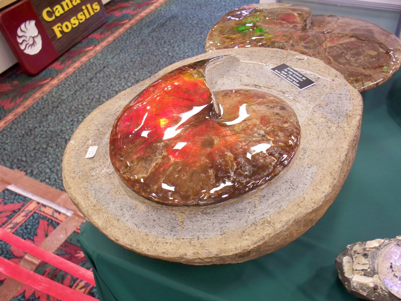 Tucson Gem Show - Live!: Arizona Mineral & Fossil Show at InnSuites ...