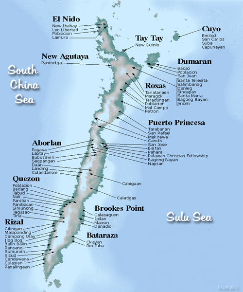 BEACHCOMBER: August 2011