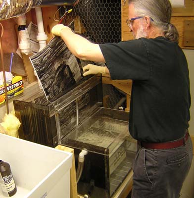 MAKING THE ART SEEN artSPACE@16 ONLINE Gallery: Featured Photographer ...