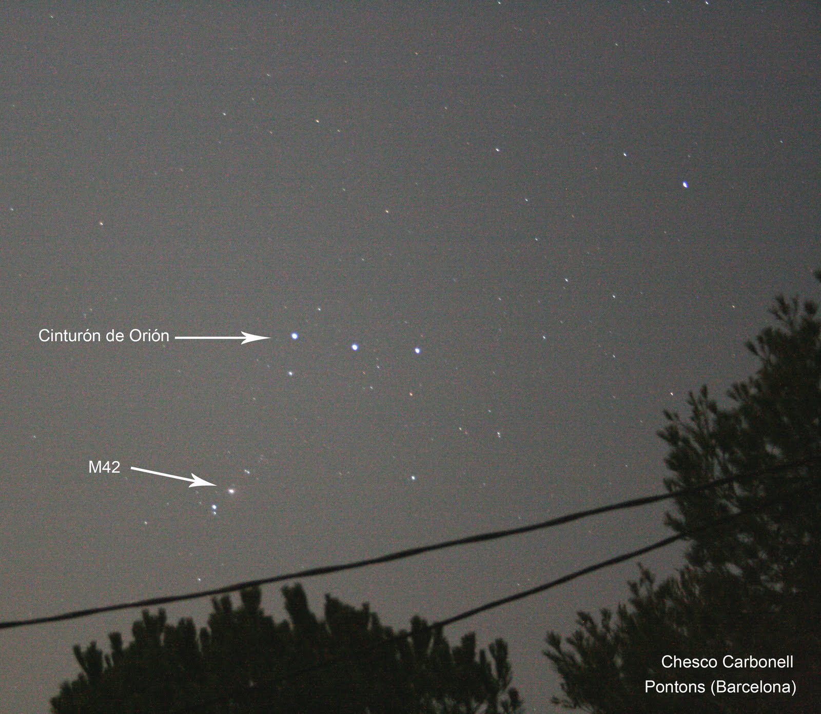 Vistas al Universo: La nebulosa de Orión; cuna de las estrellas..