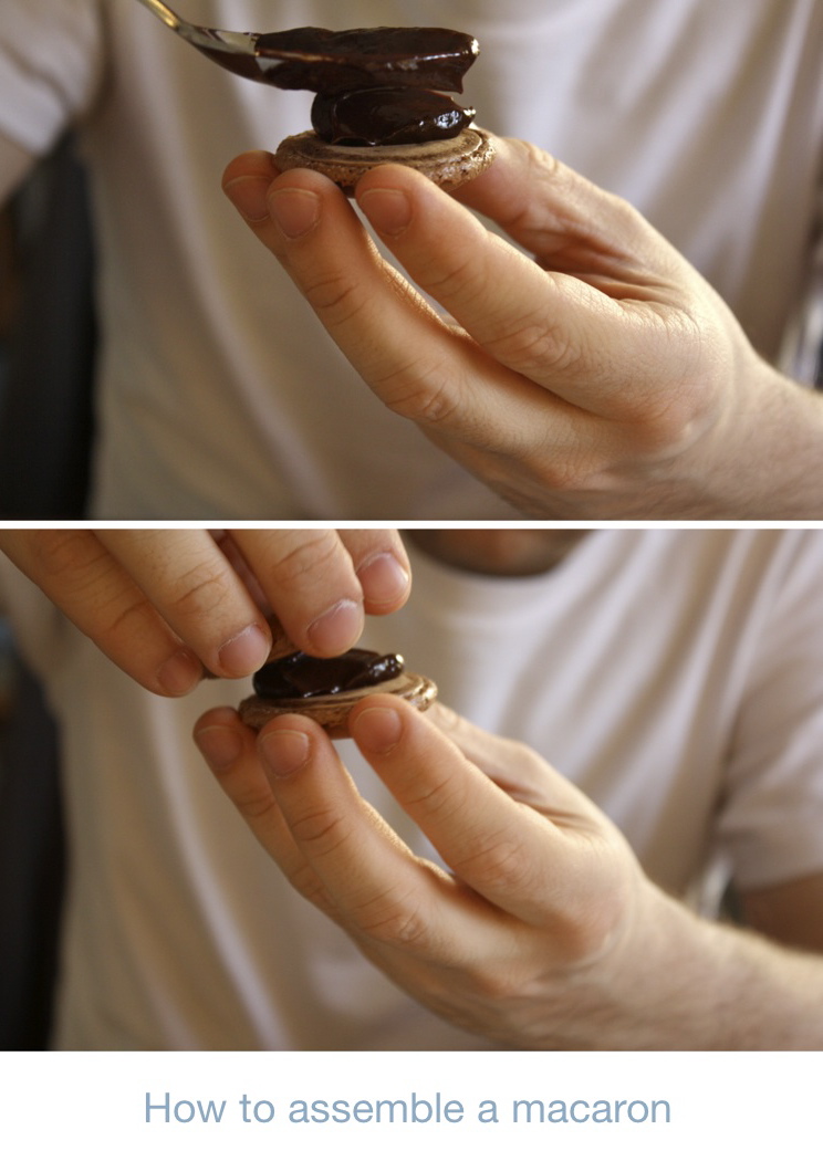 Hey, Lady Grey: How To Make Macarons: A step-by-step guide